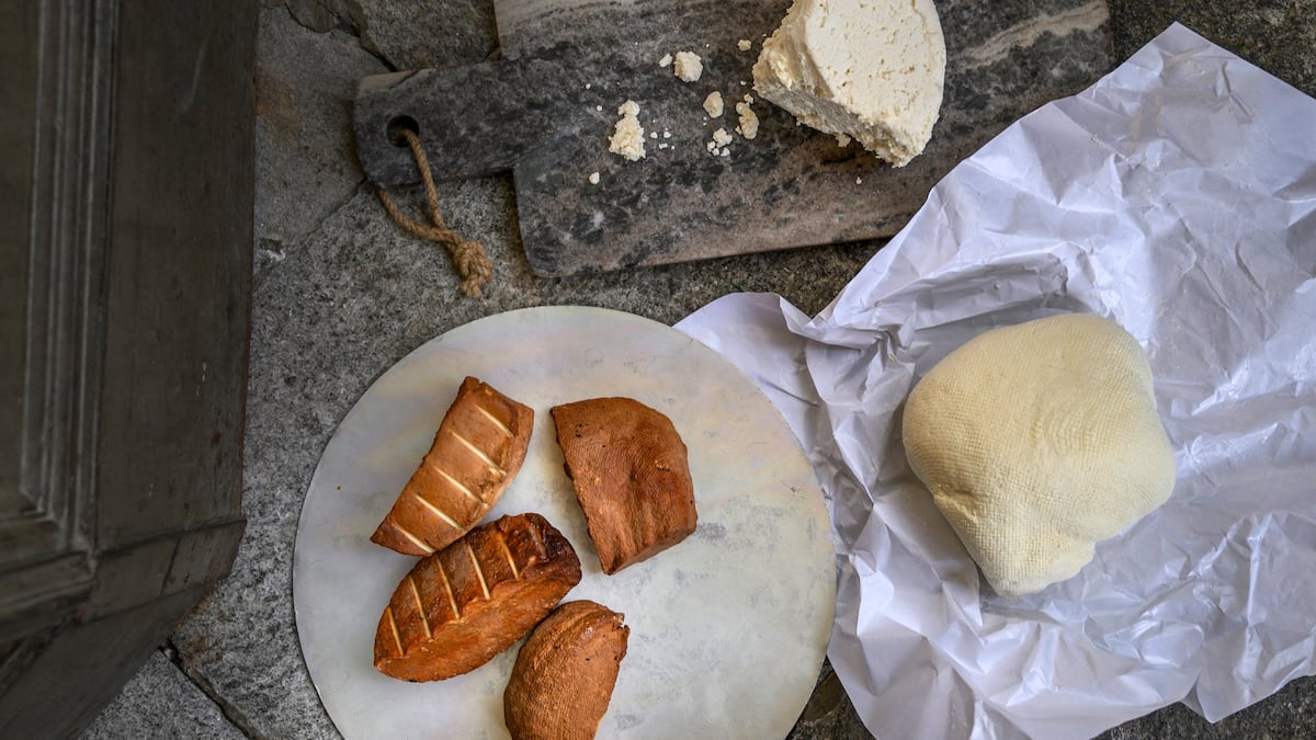Pour tout savoir sur la ricotta et préparer de magnifiques Polpettine ...