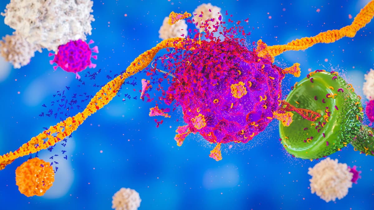 L’ARN messager, c’est quoi? | Illustré