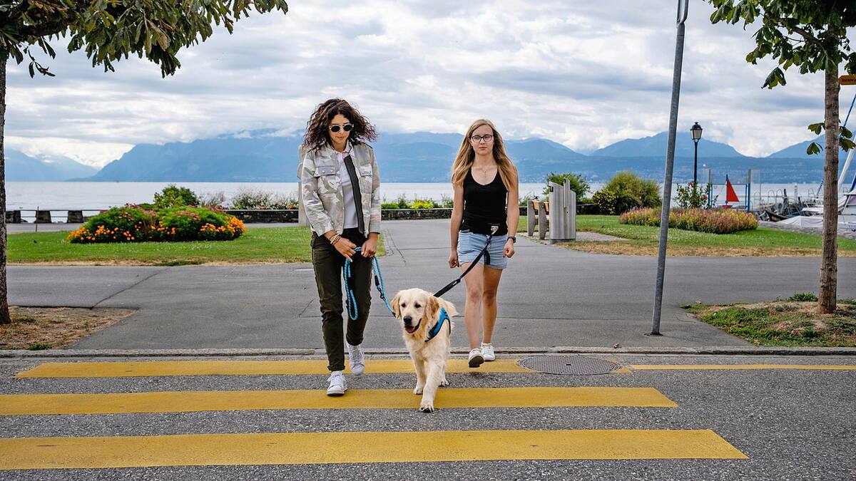 Sam, golden retriever et ange gardien des enfants fragiles | Illustré