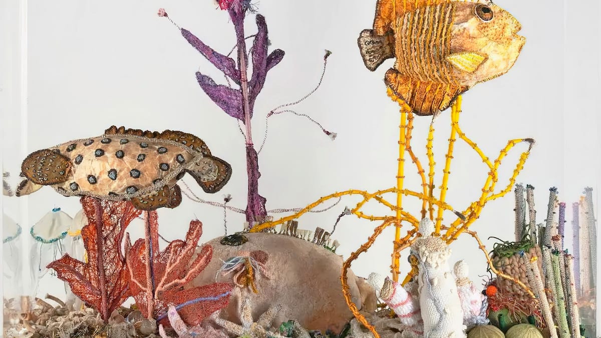 Un automne festif | Illustré