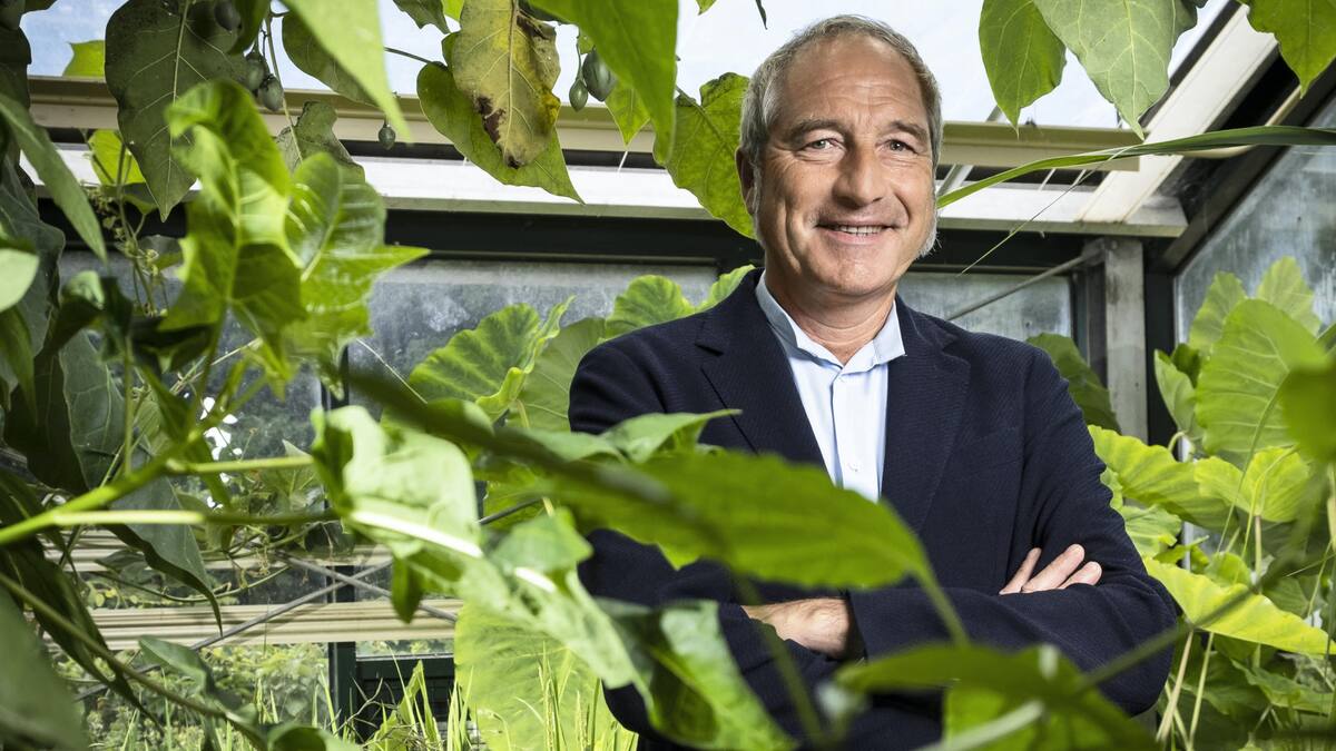 Stéphane Marie, de costumier de théâtre à metteur en scène de jardin ...