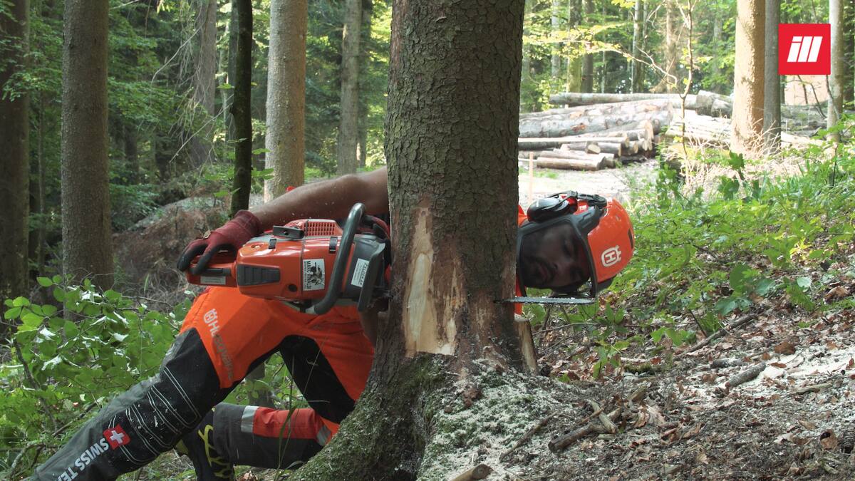 Marc Rinaldi, un bûcheron de compétition. | Illustré