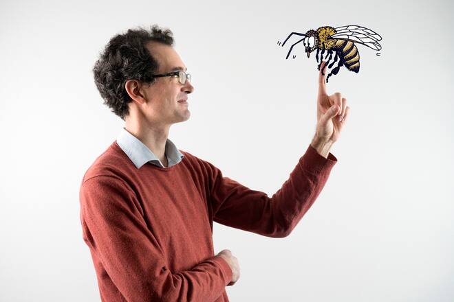 Au secours, les insectes suisses se meurent! | Illustré