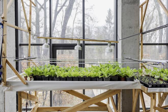 Kiev, la vie malgré tout | Illustré