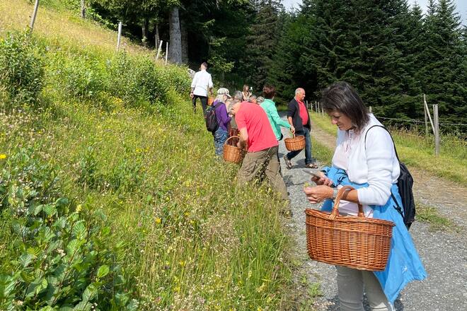 Nos lecteurs ont été subjugués par l'atelier «cueillette et cuisine ...