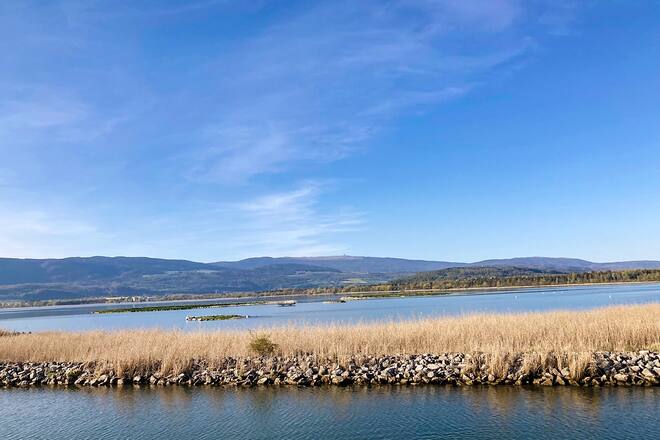 La réserve naturelle de La Sauge: haut lieu de la biodiversité à ...